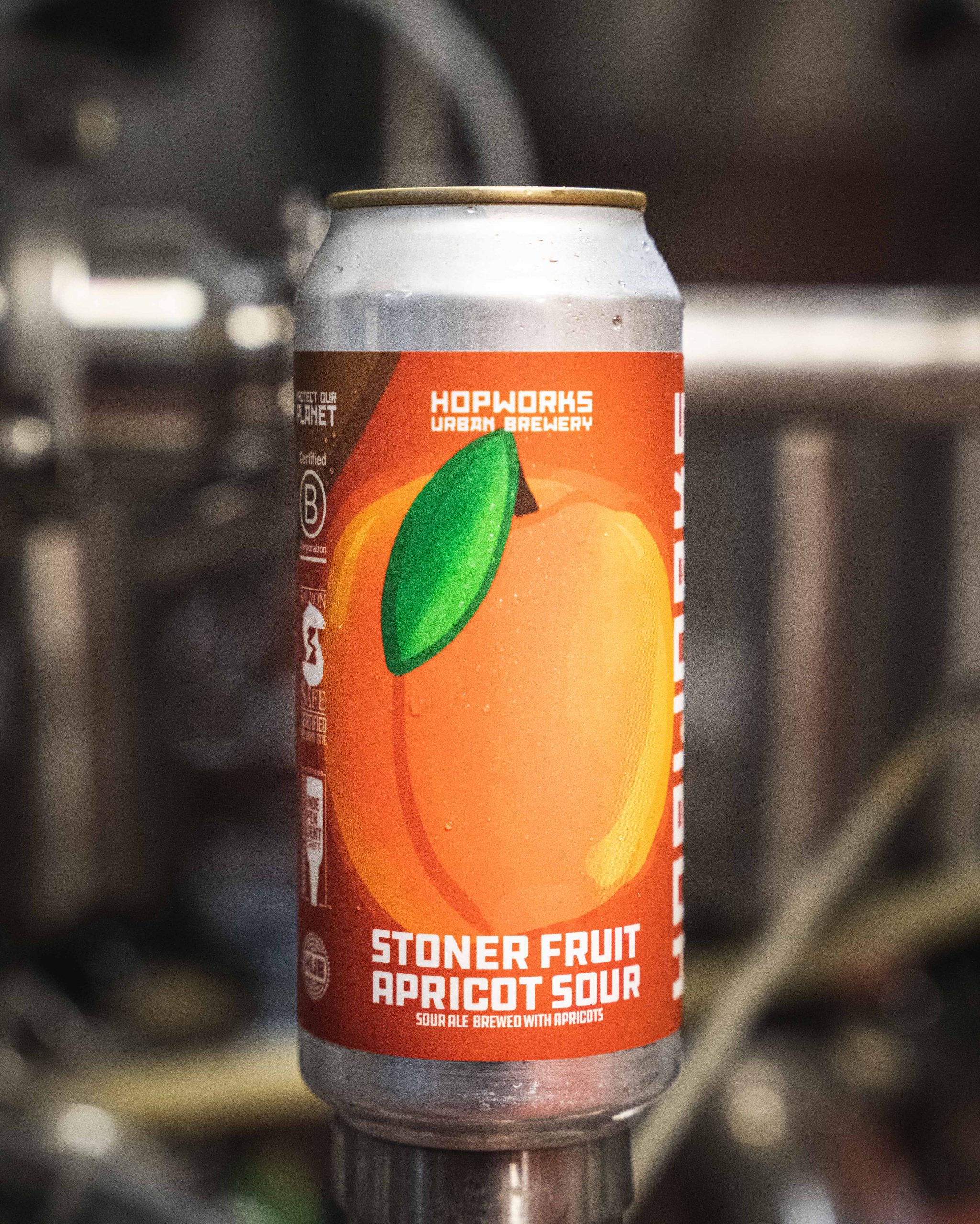 Hopworks releases Ace of Clubs Imperial IPA and Stoner Fruit Apricot ...