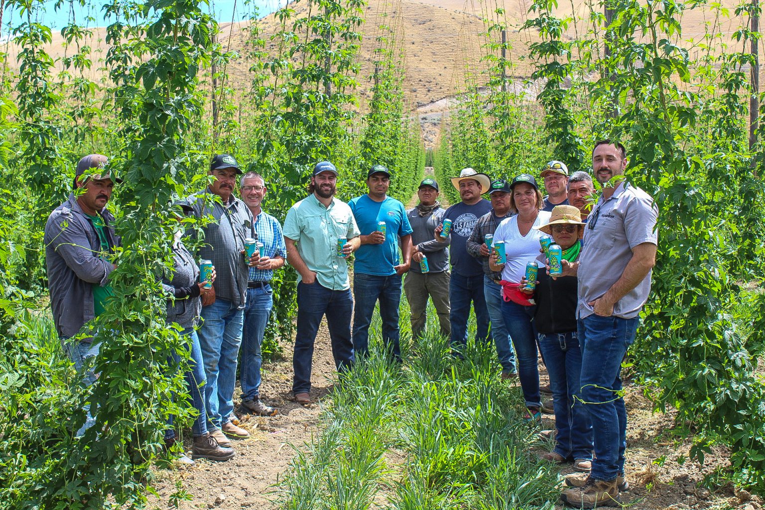 Hopsteiner Licenses CLS Farms to Grow and Market Four of its ...