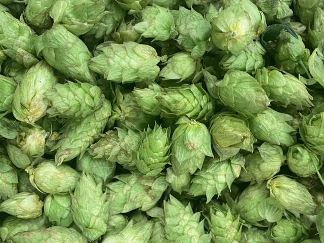 Bart Watson: US Hop Supply ‘Unsustainable’; ‘Brewers Need to be ...