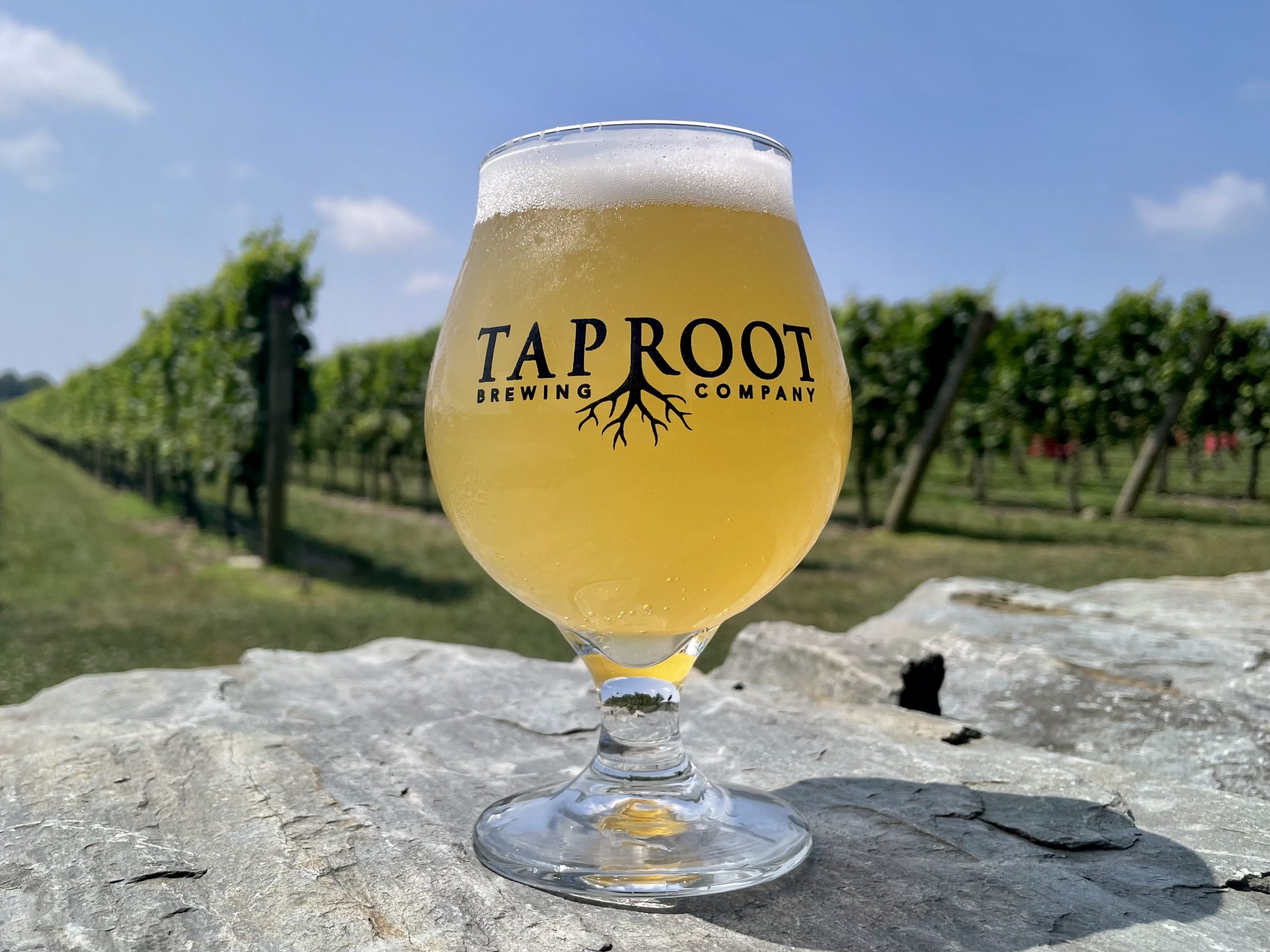 Taproot Brewing Co. Celebrates Five Years on June 21 | Brewbound